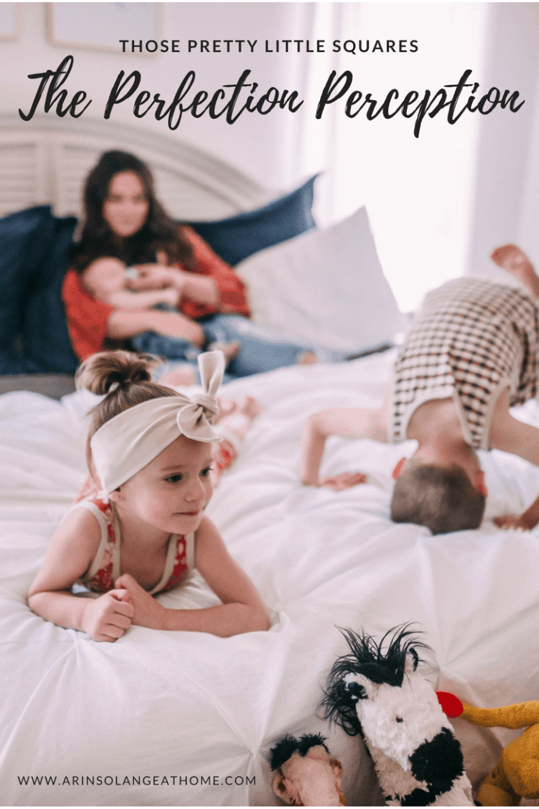 The Perfection Perception - arinsolangeathome