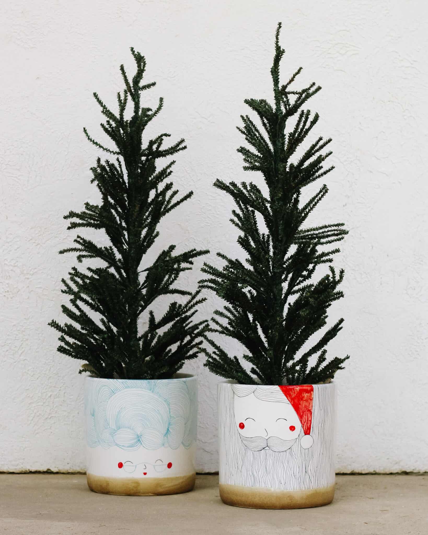 Santa Planter DIY - arinsolangeathome