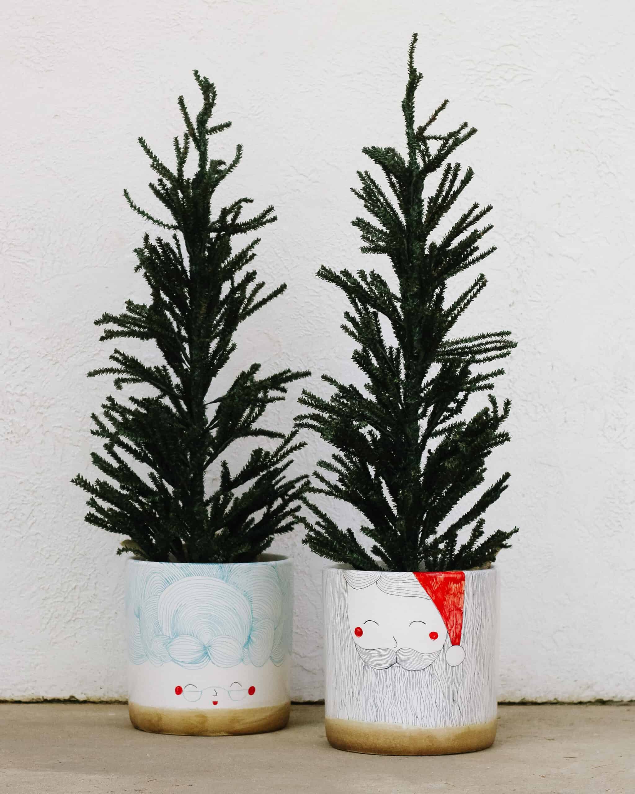 Santa Planter DIY - arinsolangeathome