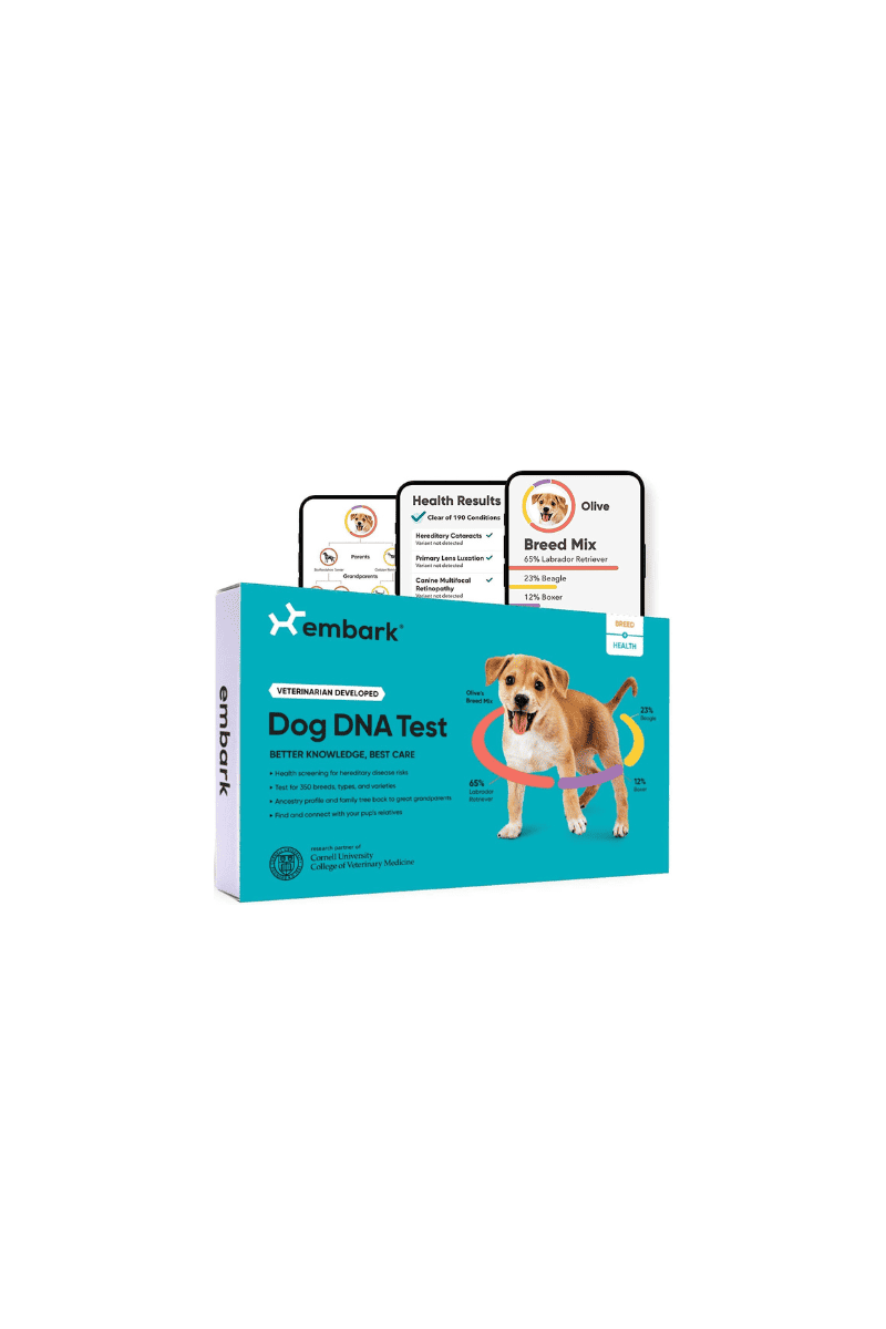 Embark Dog DNA Test - arinsolangeathome