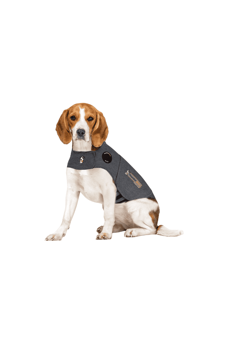 Thunder Jacket - arinsolangeathome