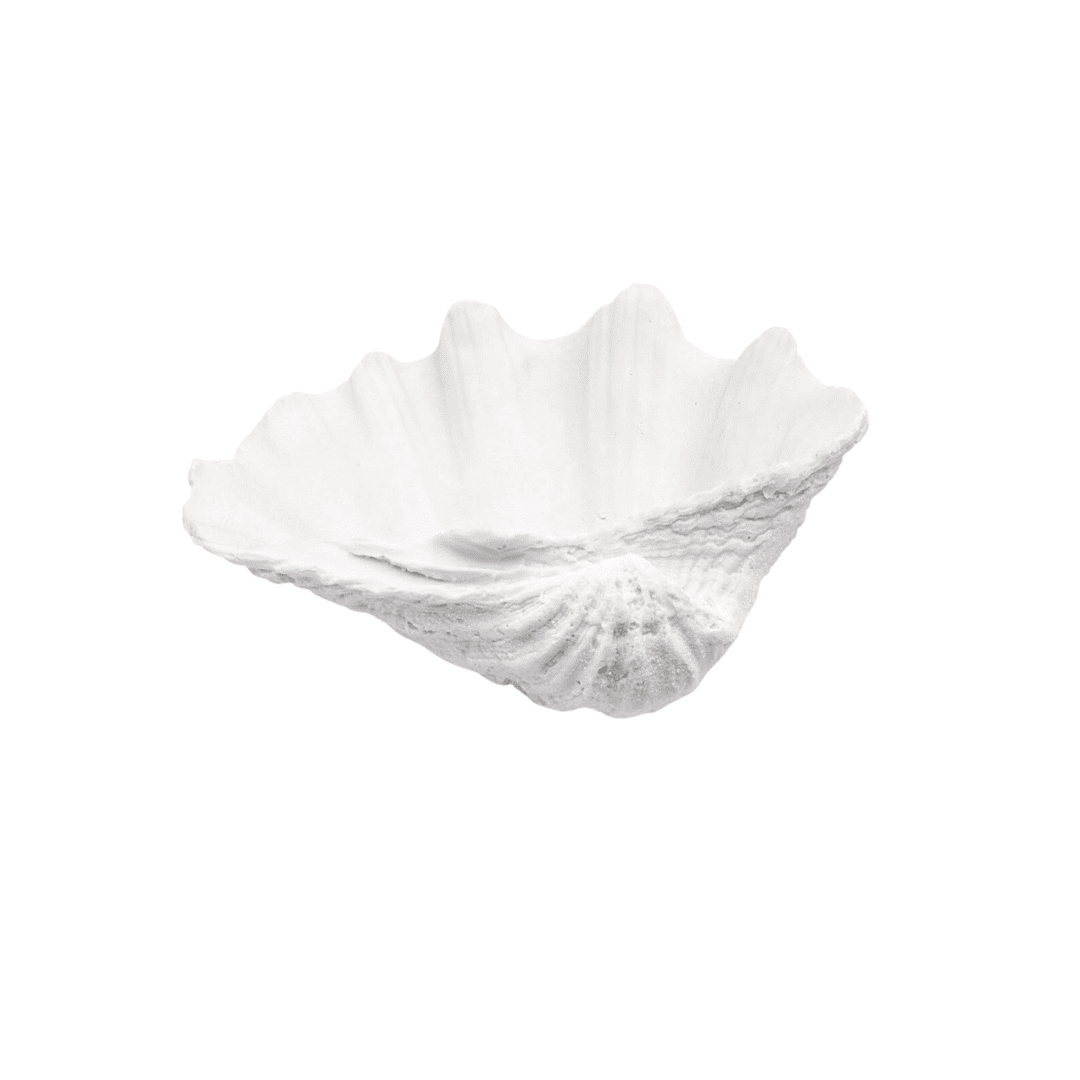 Shell Bowl - arinsolangeathome
