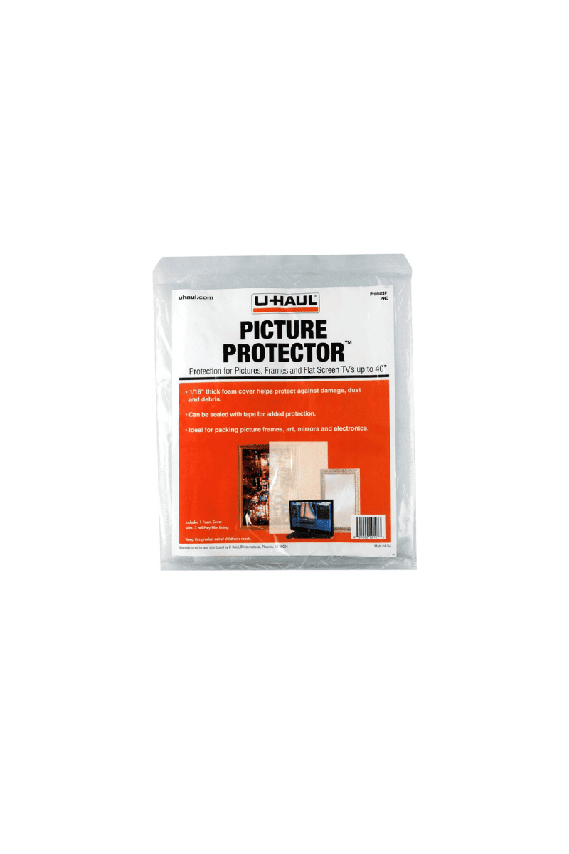 Picture Protector - arinsolangeathome