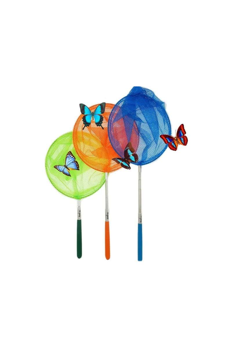 Butterfly/Bug Nets - arinsolangeathome